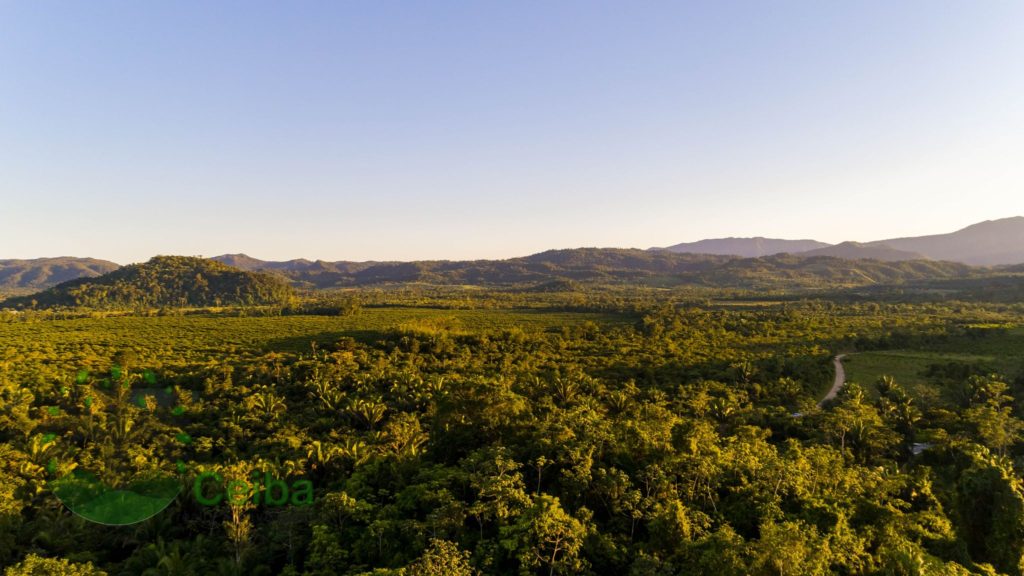 A 50-Acre Parcel Surrounded by Serrated Mountains and Creeks - Ceiba ...