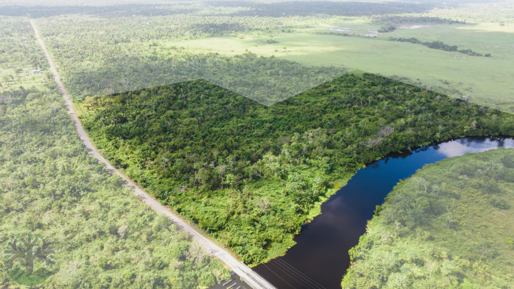An excellent investment opportunity in rural Belize! - Ceiba Realty ...