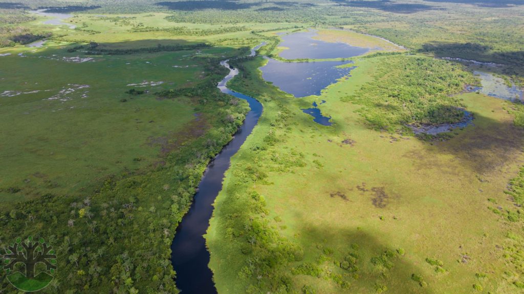 An excellent investment opportunity in rural Belize! - Ceiba Realty ...