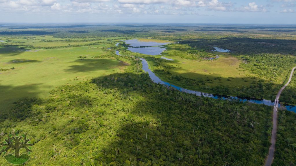 An excellent investment opportunity in rural Belize! - Ceiba Realty ...