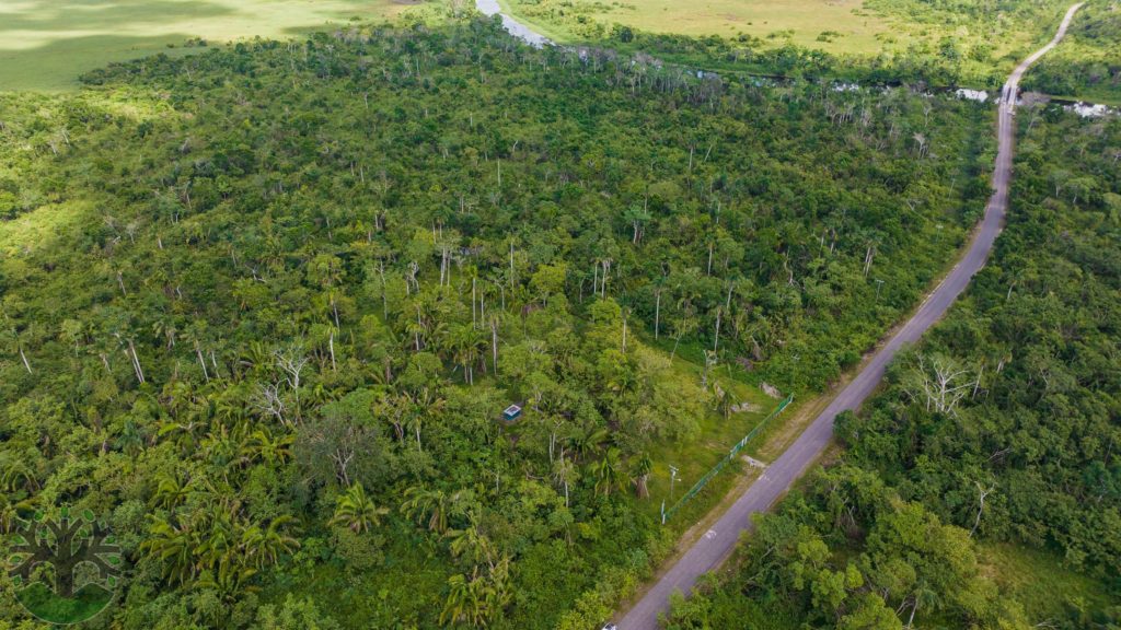 An excellent investment opportunity in rural Belize! - Ceiba Realty ...