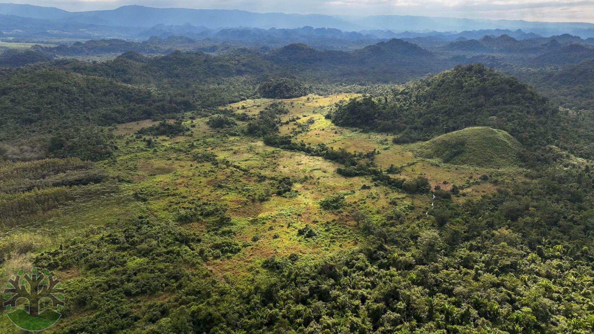 Stunning 481-Acre Tree farm with hills and creek frontage - Ceiba ...