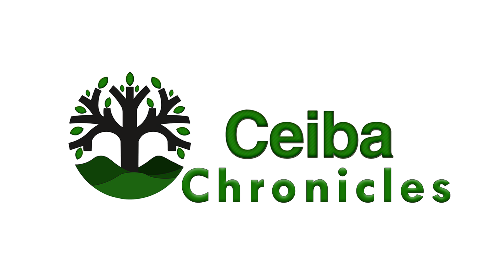 What’s Driving the 2025 Belize Construction Boom? — Ceiba’s Breakdown ...