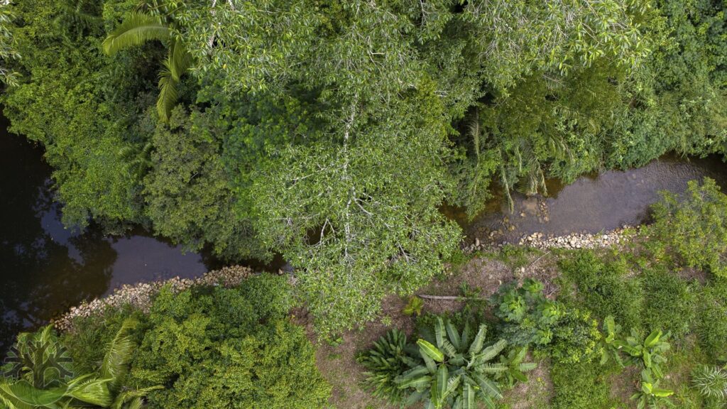12-Acre Hobby Farm along the famous Barton Creek in Cayo! - Ceiba ...