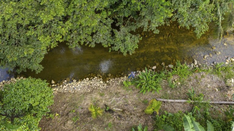 12-Acre Hobby Farm along the famous Barton Creek in Cayo! - Ceiba ...