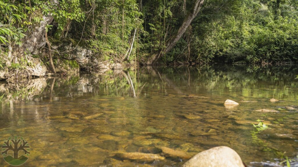 12-Acre Hobby Farm along the famous Barton Creek in Cayo! - Ceiba ...