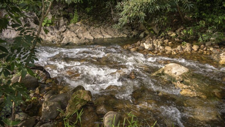 12-Acre Hobby Farm along the famous Barton Creek in Cayo! - Ceiba ...